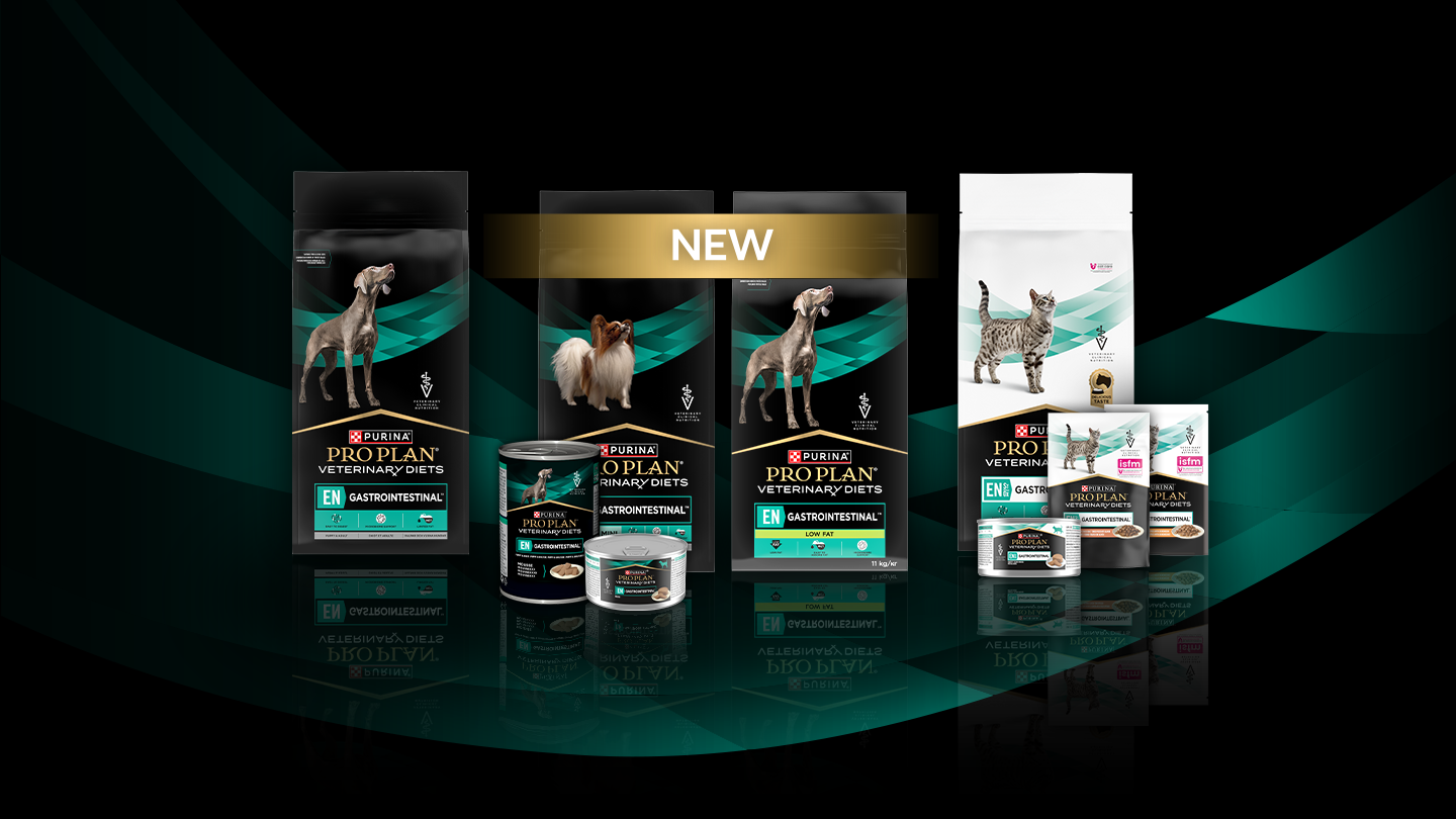 GI | Vet Center